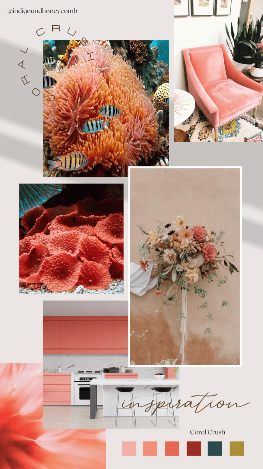 Coral Crush: Exploring the March Color of the Month - Indigo and ...