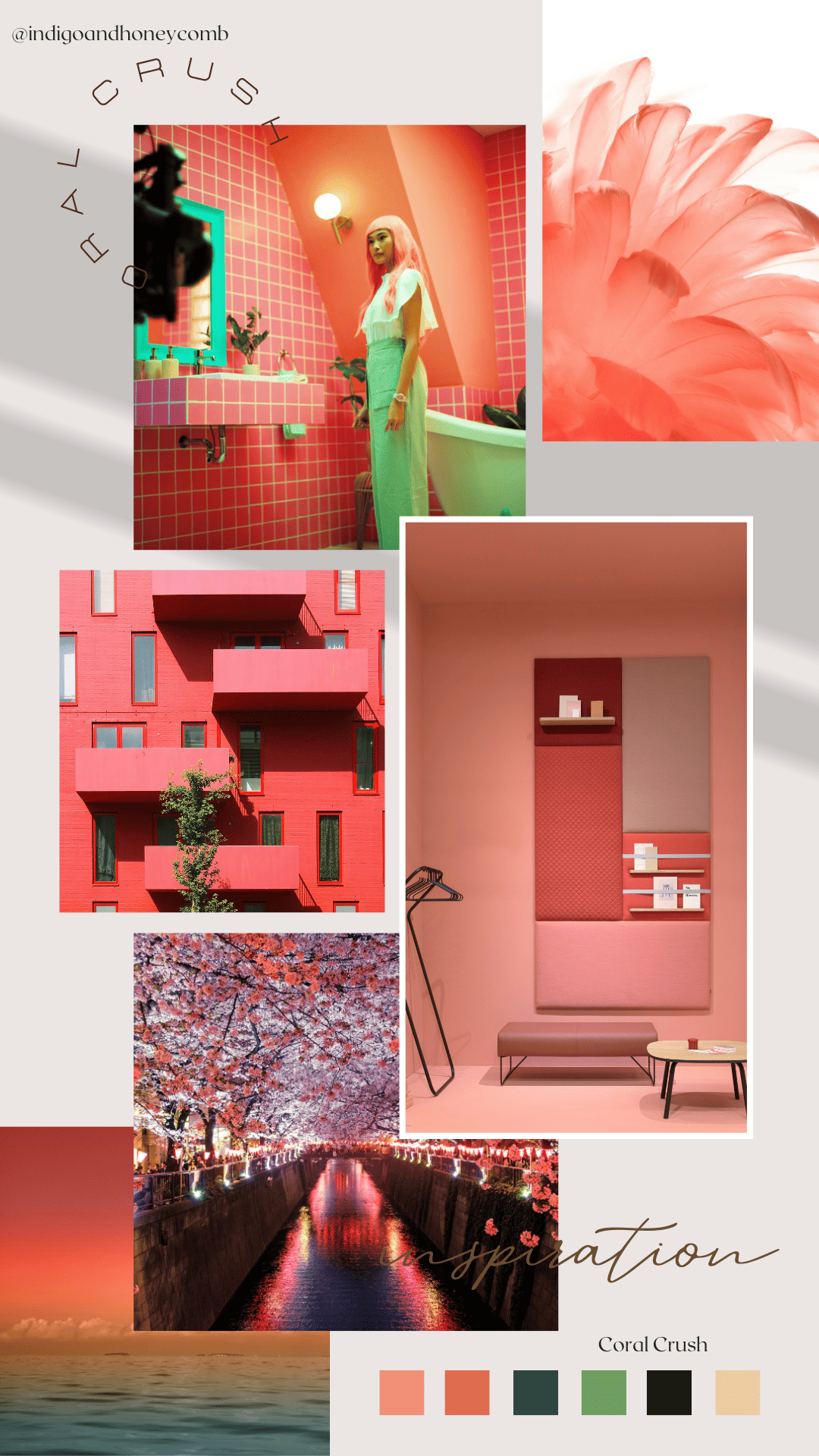 Coral Crush: Exploring the March Color of the Month - Indigo and ...