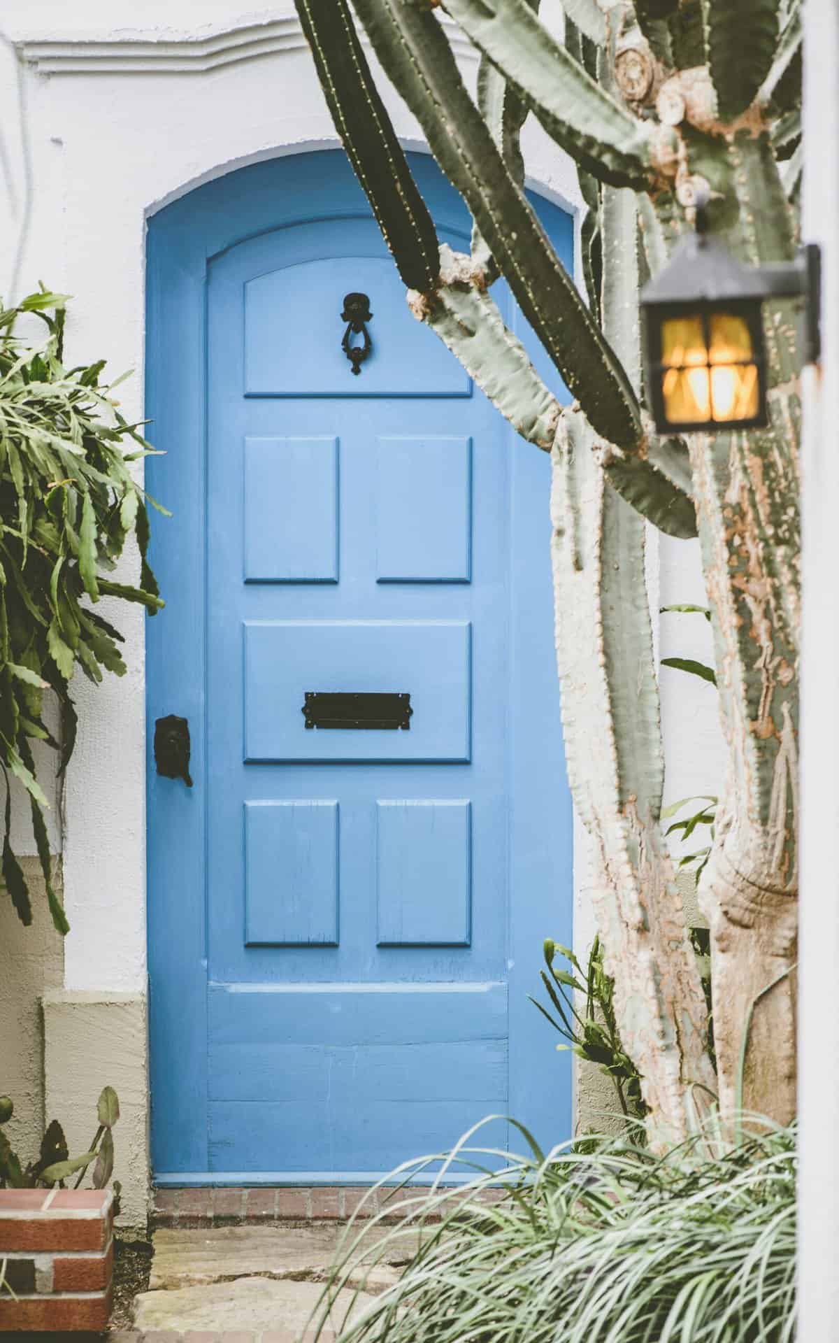 Celebrate Delphine Blue: May's Color of the Month - Indigo and ...