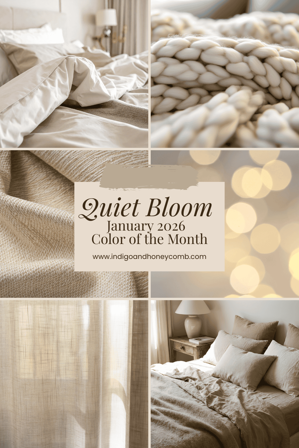 January 2026 Color of the Month: Quiet Bloom - Indigo and Honeycomb COLOR LAB